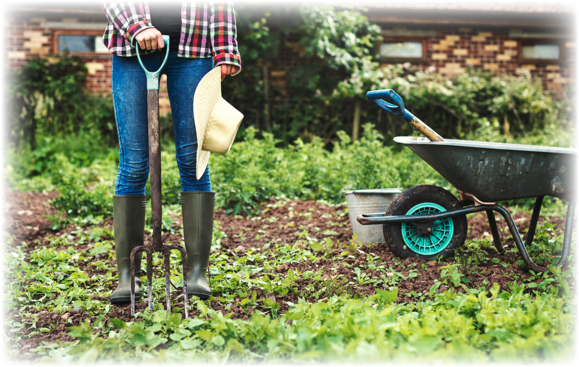 Annie Organie | Dont Panic, It's Organic!